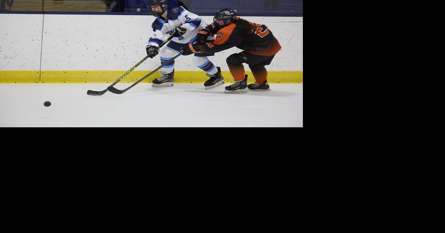 Kick Saves: A quick twirl around the local girls hockey landscape ...