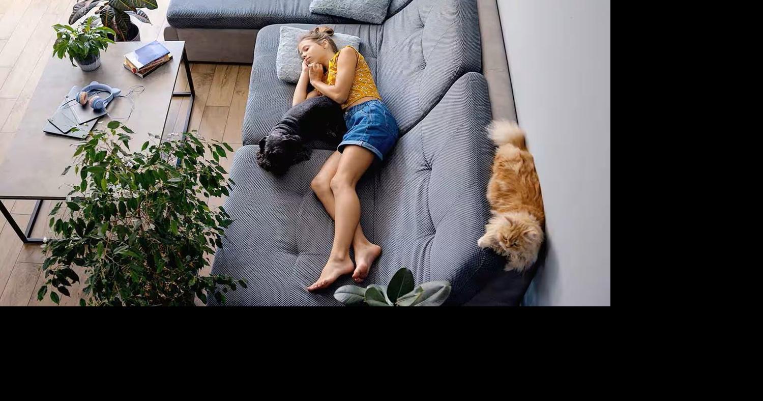 Ask Angi: Does my furniture need a deep clean? | News | salemnews.com