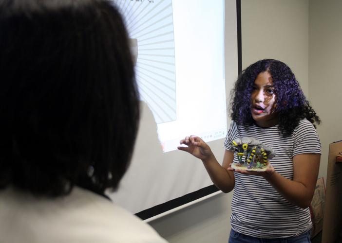 LEAP students show off future career paths explored in paid summer ...