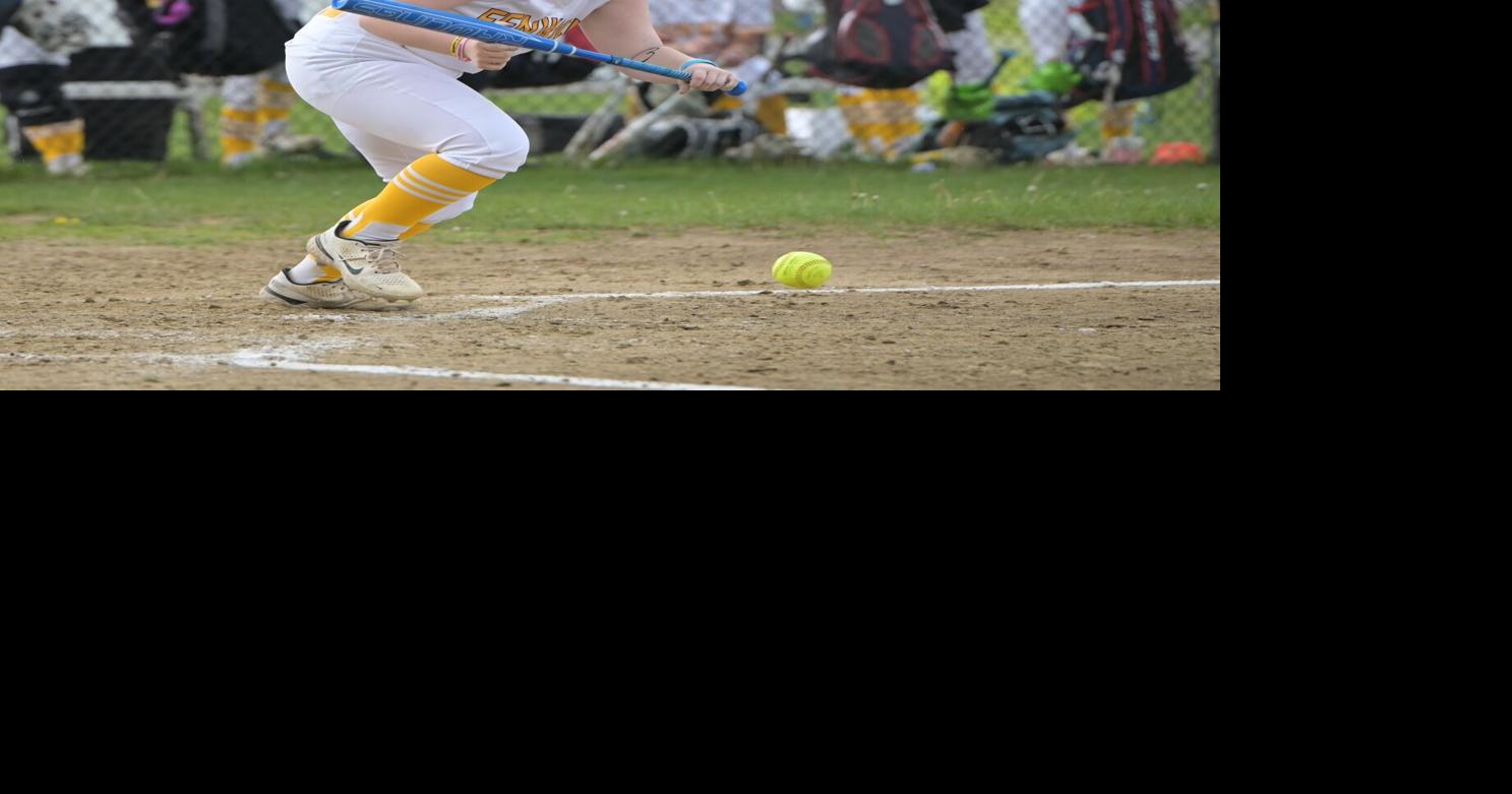 Fast Pitches softball column: Fenwick hosting tournament to honor Shann ...