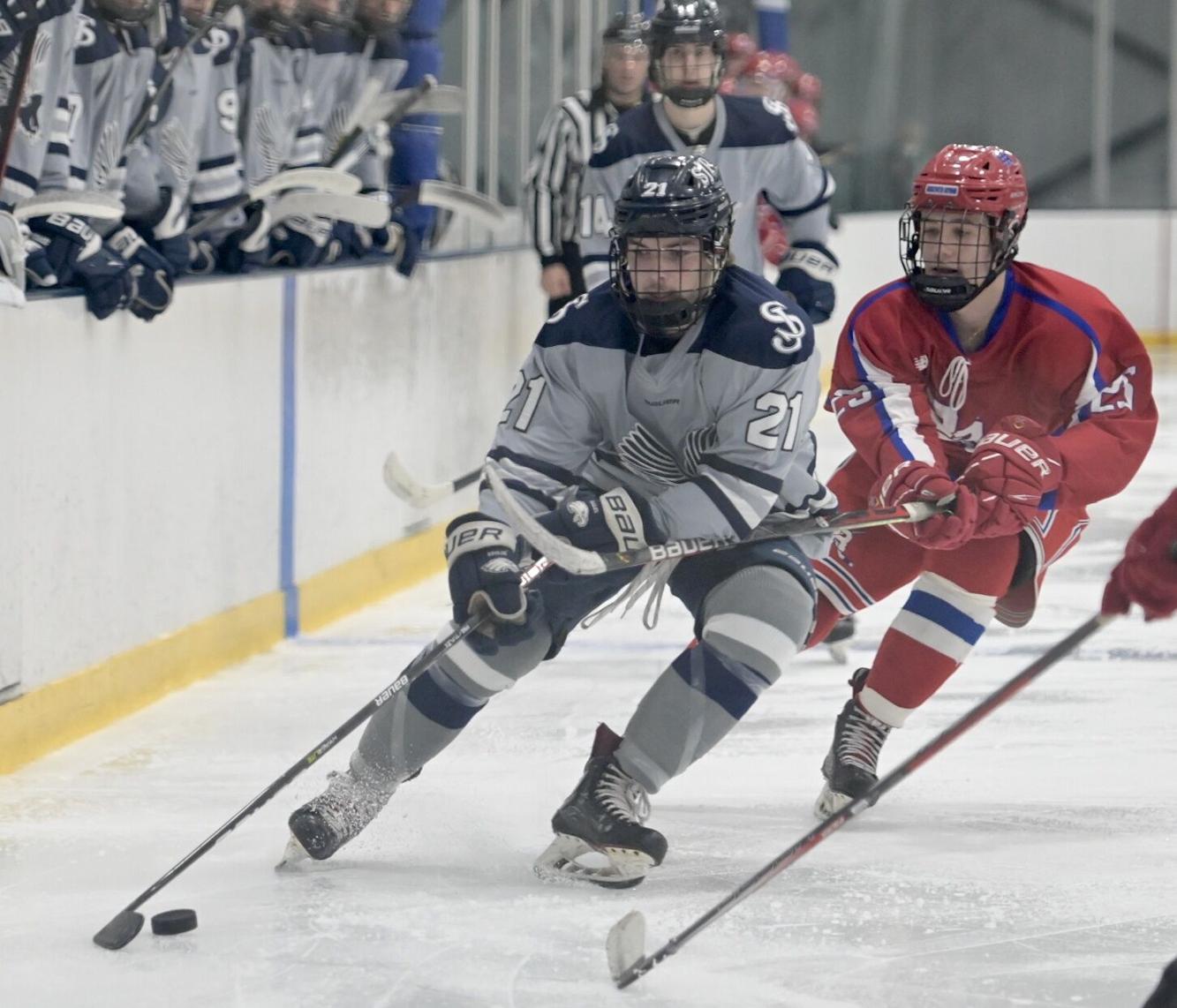 Top seeded St. John's Prep heads up eight local boys hockey teams ready ...