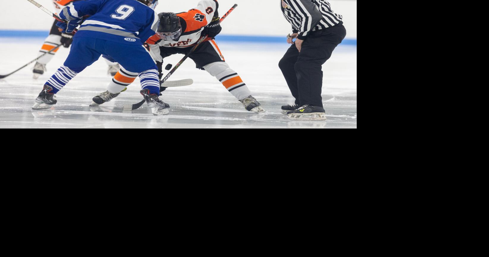 Ryan's third period goal sends Danvers hockey past Panthers | Sports ...