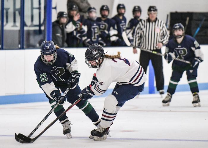 Kick Saves girls hockey column: Steady improvement the name of the game ...