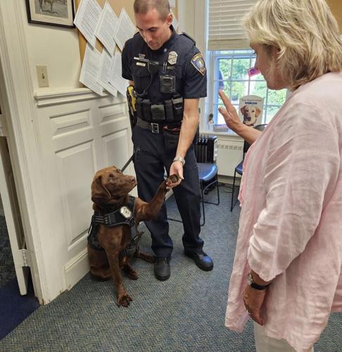 Therapy dog Luca sworn in as first K-9 for Hamilton Police Department ...