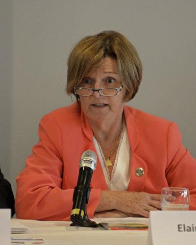 9 vie for at-large seats on council | Local News | salemnews.com