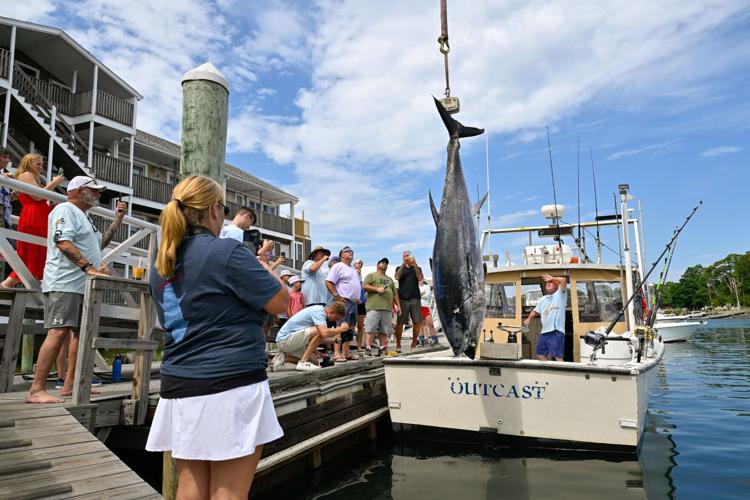 No Bluefin Blowout this summer; organizers looking for new management ...
