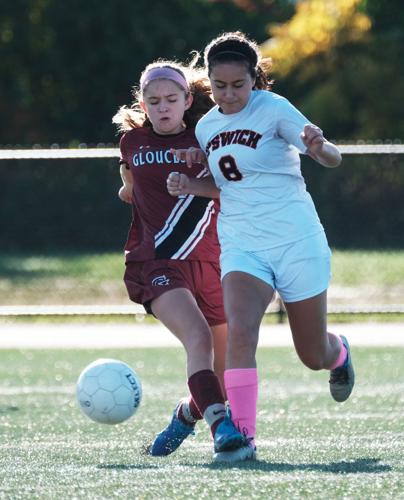 Weekend area roundup: Tanners, Panthers go 1-2 at CM Silver race ...