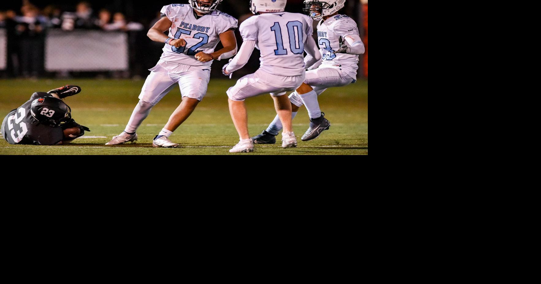 Unbeaten Tanners lead list of half-dozen playoff football qualifiers ...