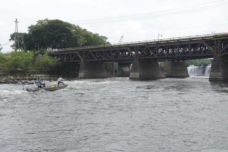 Fish tale: Behold the mysterious sturgeon of the Merrimack | News ...