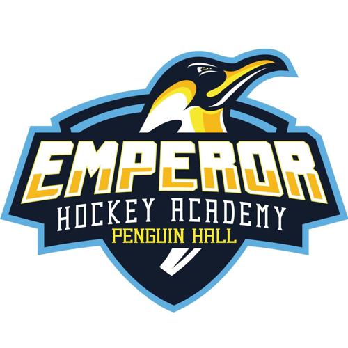 Emperor Academy, Penguin Hall team up for new girls hockey program ...