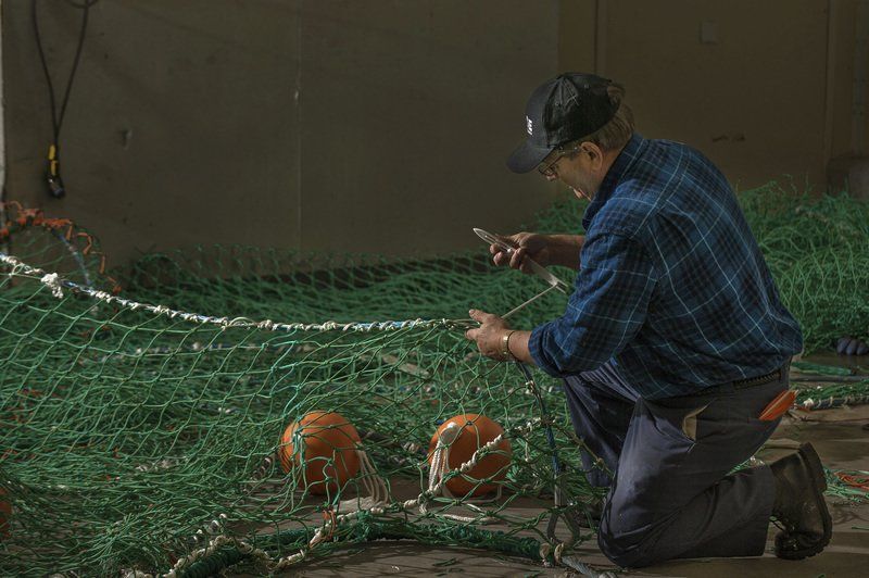 Fish Tales: Richard Beal builds a net for an uncertain future | News ...