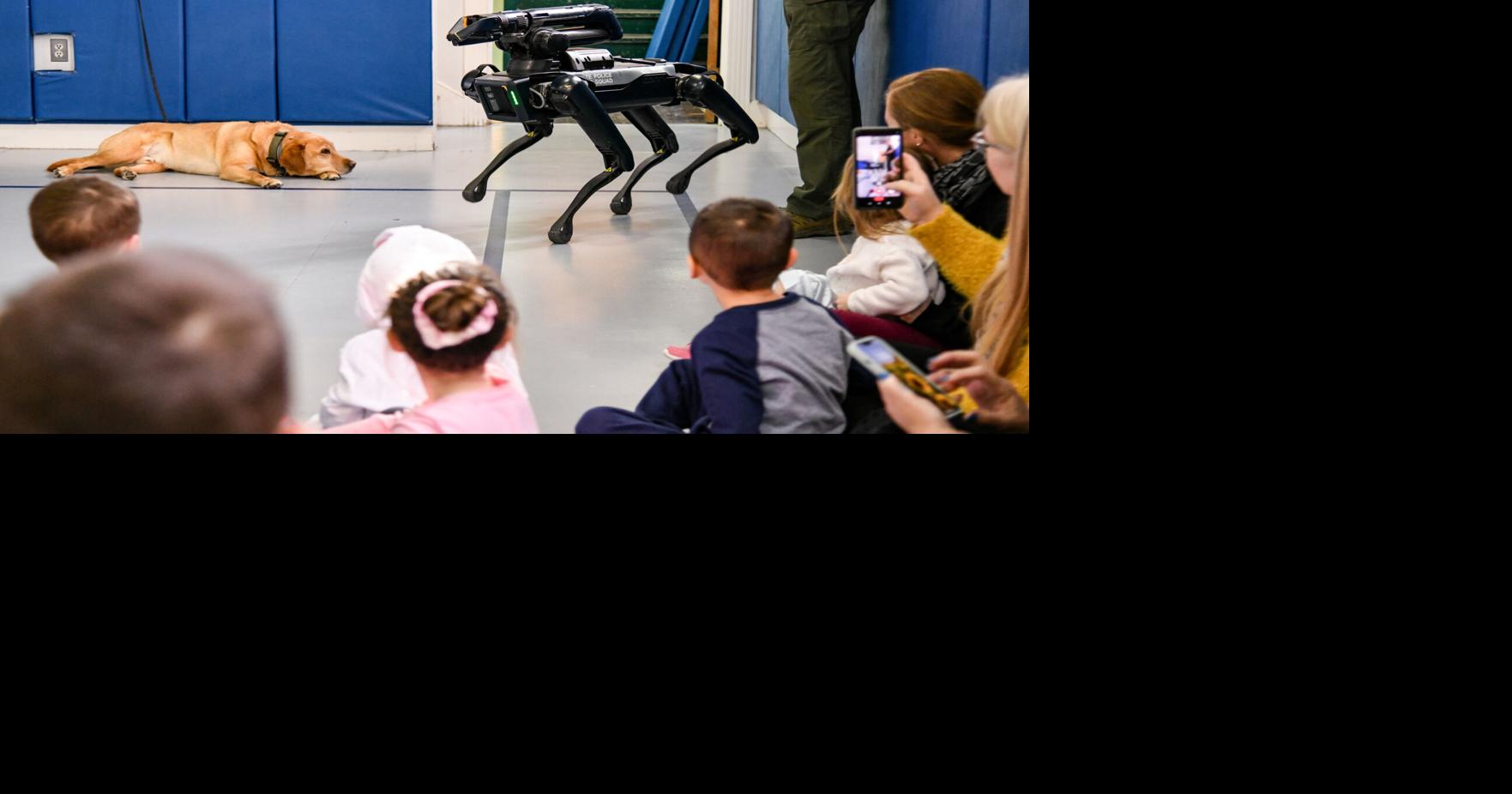State police show off bomb dogs to students at St. Mary's | News ...