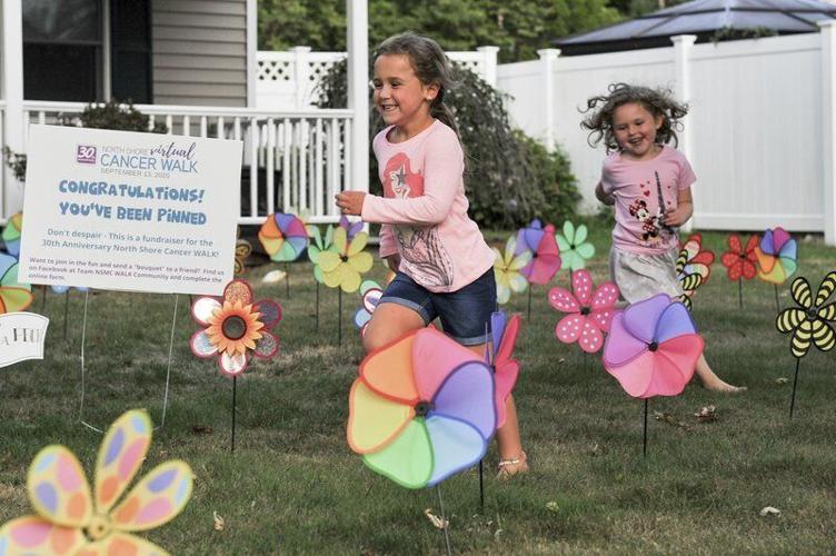 Pinwheel gardens grow donations for Cancer Walk | Local News ...