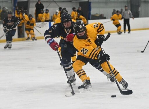 Monday's area roundup: Prep wrestlers stay unbeaten; Fenwick boys ...