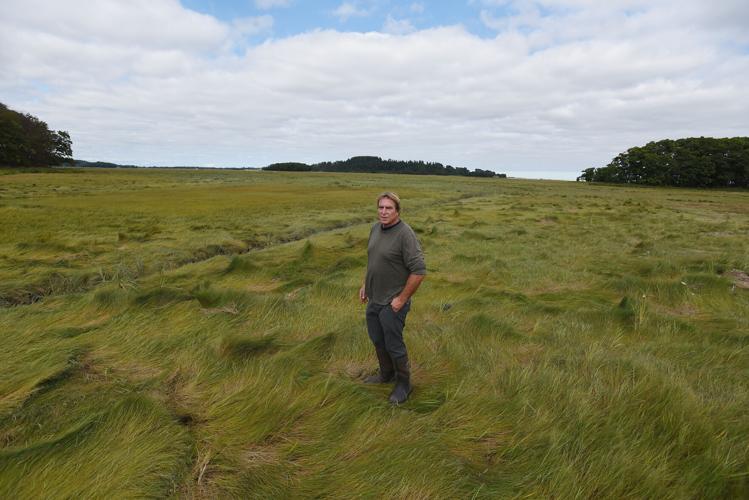 Deep in the Great Marsh: Smithsonian event highlights the natural ...