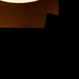 Bats, elevator woes hit Essex Town Hall | News | salemnews.com