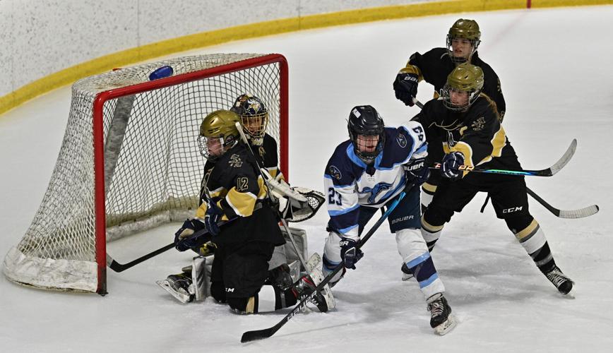 Kick Saves girls hockey column: Highlighting some of the most improved ...