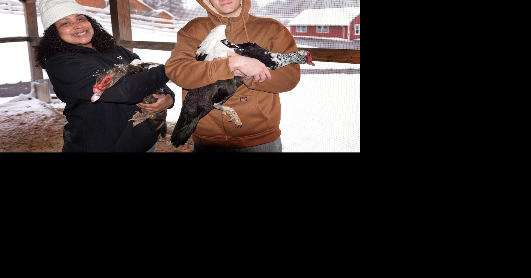 Fee-free adoptions help Nevins Farm make room | North Of Boston ...