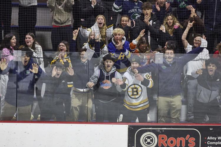 Hawks outplay top seeded Hanover before ultimately falling in state ...