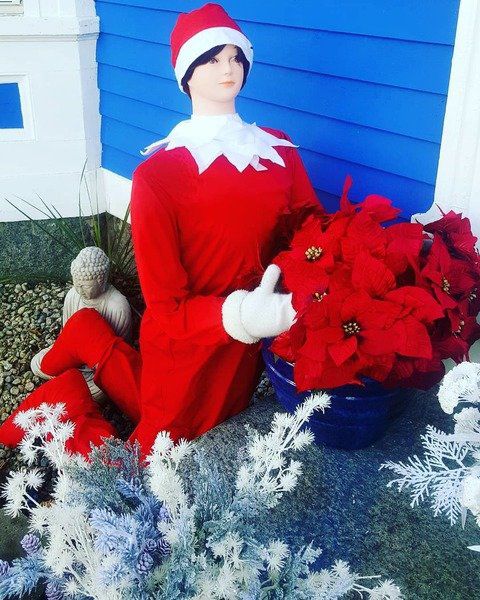 Life-size elf brings joy to passersby | News | salemnews.com