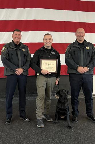 Community fundraiser kicks off for Topsfield police dog Aster | News ...