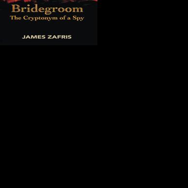 Former CIA officer pens spy story | Lifestyles | salemnews.com