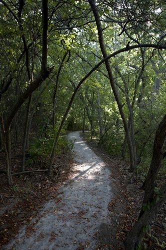 Into the deep woods of South Salem | Local News | salemnews.com