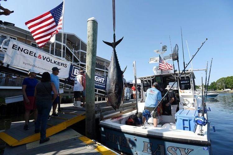 No Bluefin Blowout this summer; organizers looking for new management ...