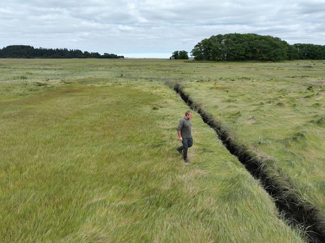 Deep in the Great Marsh: Smithsonian event highlights the natural ...