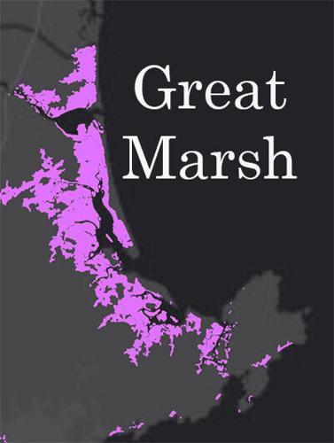 Deep in the Great Marsh: Smithsonian event highlights the natural ...