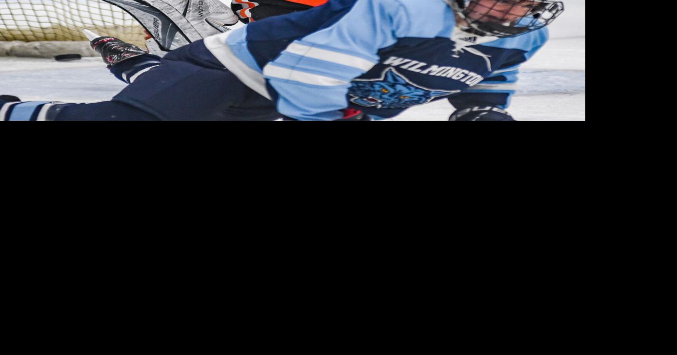 SLIDESHOW: The Beverly Panthers lose to the Wilmington Wildcats in boys ...