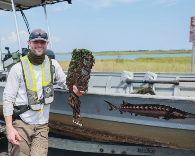 Fish tale: Behold the mysterious sturgeon of the Merrimack | News ...