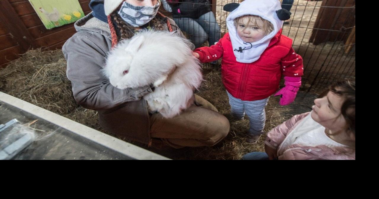 Barnyard Story Hour at Appleton Farms | Salem News Art Stars ...