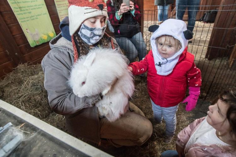 Barnyard Story Hour at Appleton Farms | Salem News Art Stars ...