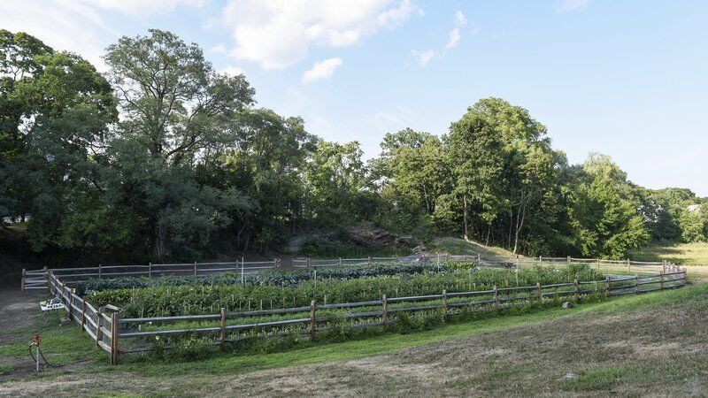 Growing more growing space: Mack Park food farm triggers urban ...