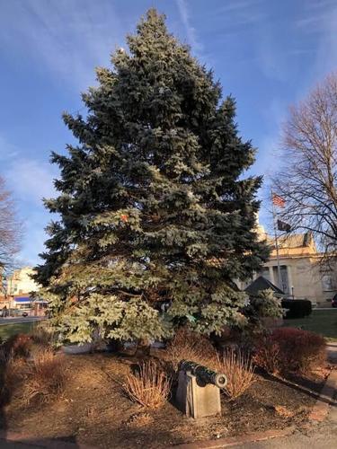 Main Streets to celebrate Beverly Memory Tree | News | salemnews.com