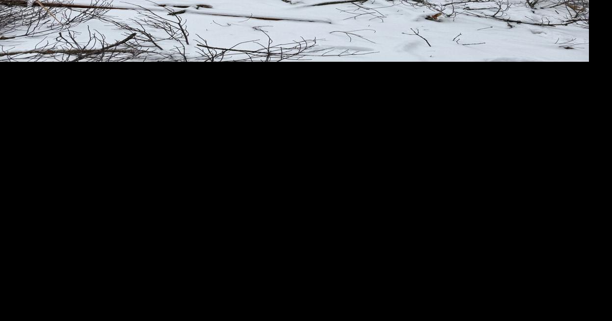 Middleton dance studio | | salemnews.com