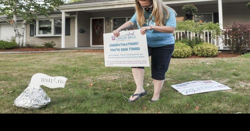 Pinwheel gardens grow donations for Cancer Walk | Local News ...