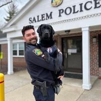 K9 officer, comfort dog honored by Boys & Girls Club | North Of Boston ...