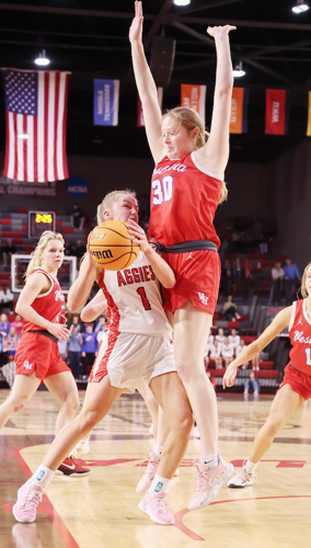 Lady Aggies make Elite Eight | High Schools | sandmountainreporter.com