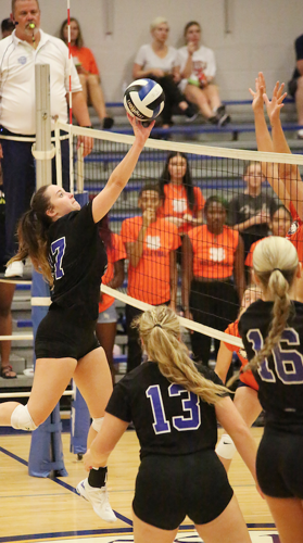 Snead State upsets No. 20 Wallace State-Hanceville | Free Share ...