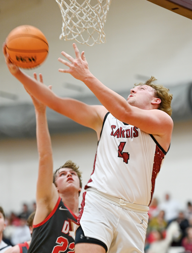 Lions rise to No. 6 in 5A poll | High Schools | sandmountainreporter.com