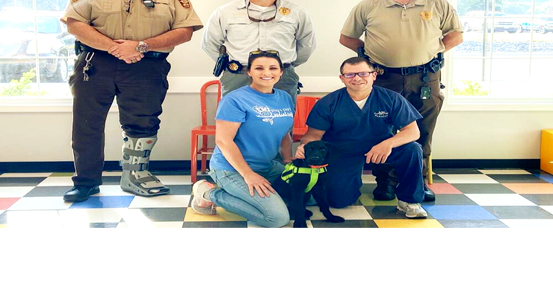 Meet DCSO’s new therapy dog | Free Share | sandmountainreporter.com