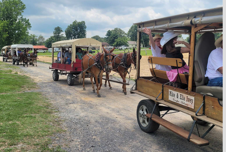 Special Day for Special People | News | sandmountainreporter.com