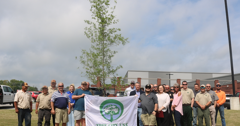 Boaz: 35 years as “Tree City USA” | News | sandmountainreporter.com