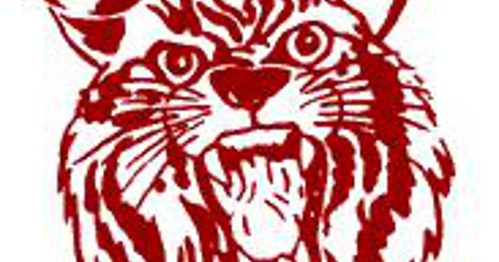 PREP BASEBALL ROUNDUP: Guntersville, Fyffe claim wins at Albertville ...