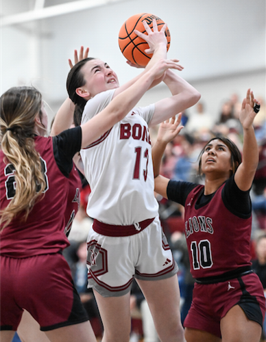 AHSAA releases basketball areas for 2024-26 reclassification | High ...