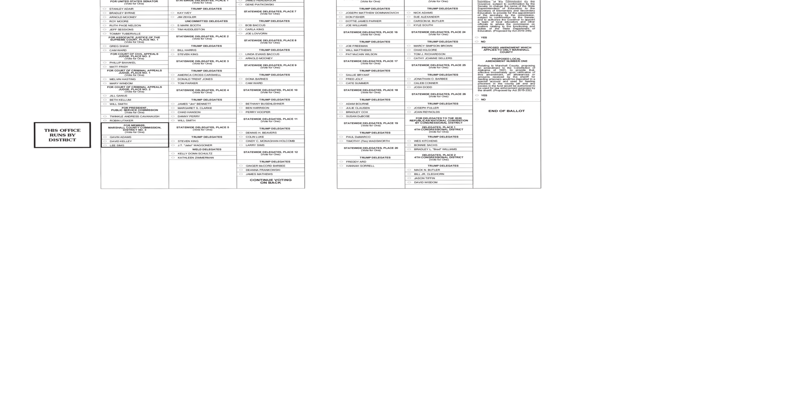 Sample ballots for 2020 primary elections | | sandmountainreporter.com