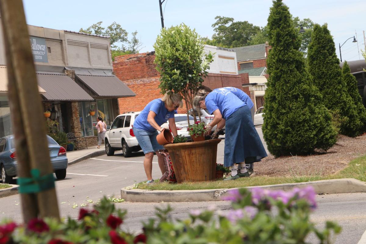 Downtown Boaz ready to blossom | City hopes floral decorations uplift ...