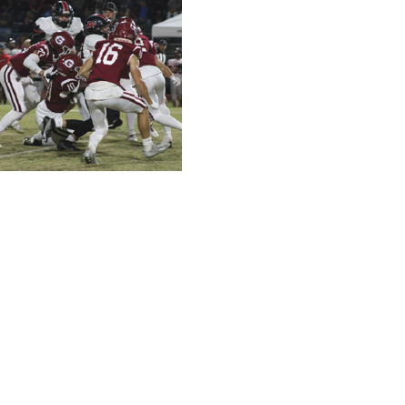 All Wildcats | Free Share | sandmountainreporter.com